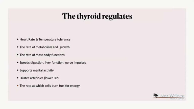 Hormones 101: Thyroid and Adrenal Hormone Functions | Living Wellness ...